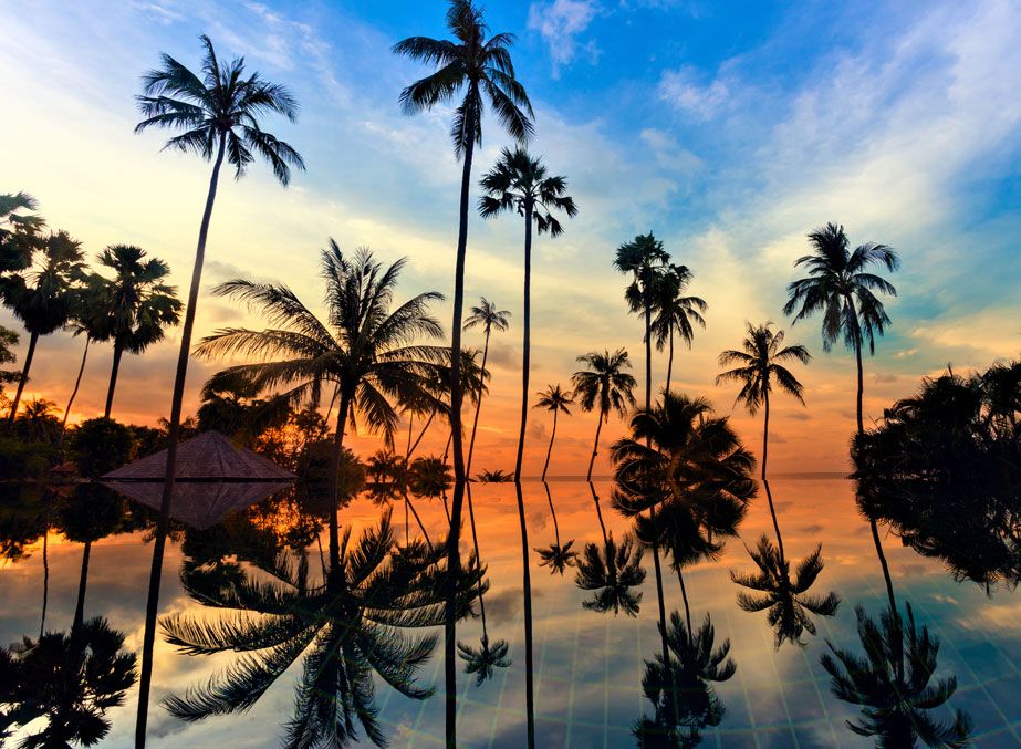 Top 20 Things To Do in Koh Samui in 2020 & 21- Thailand Tourism