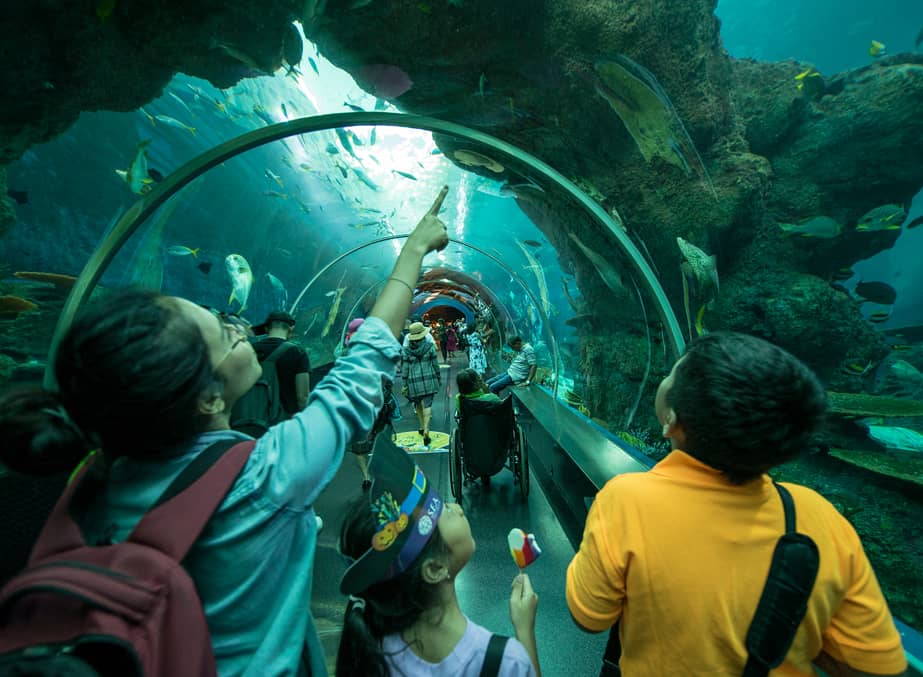 Top 20 Things To Do in Pattaya in 2024 - Thailand Tourism