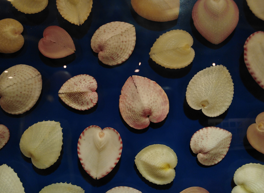 Places to Visit in Phuket, Top Tourist Places in Phuket | Thailand Tourism